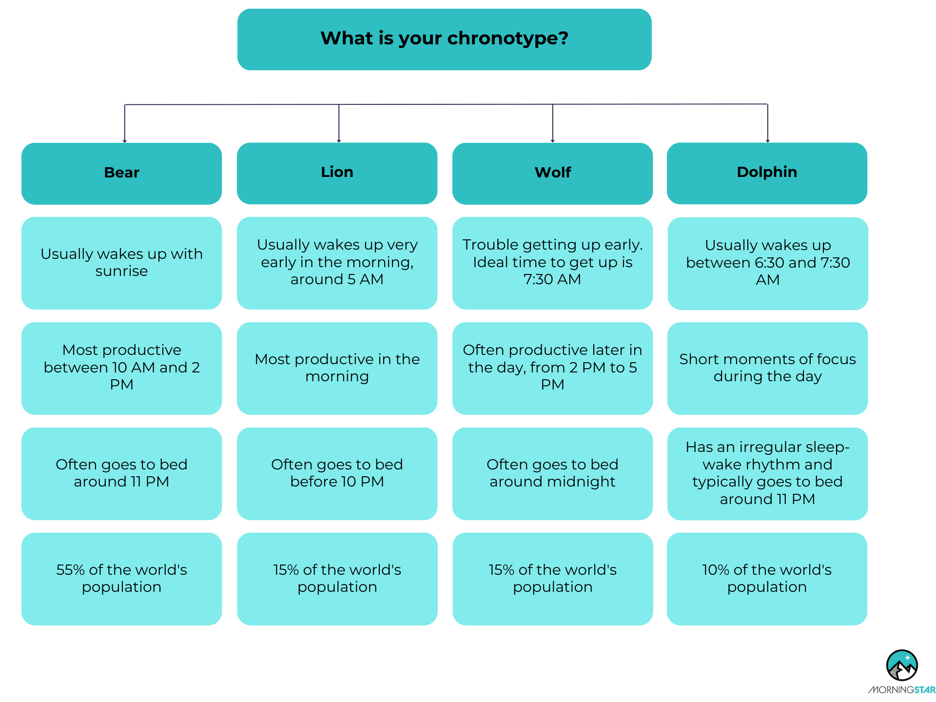 Chronotypes: Do you sleep like a lion, wolf, bear, or dolphin ...